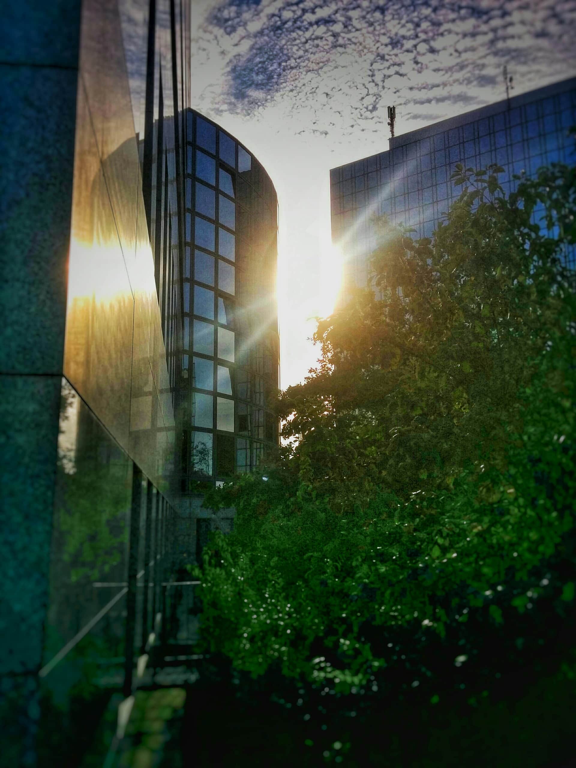 Zero Emission Building Design GmbH mit Dirk Henning Braun